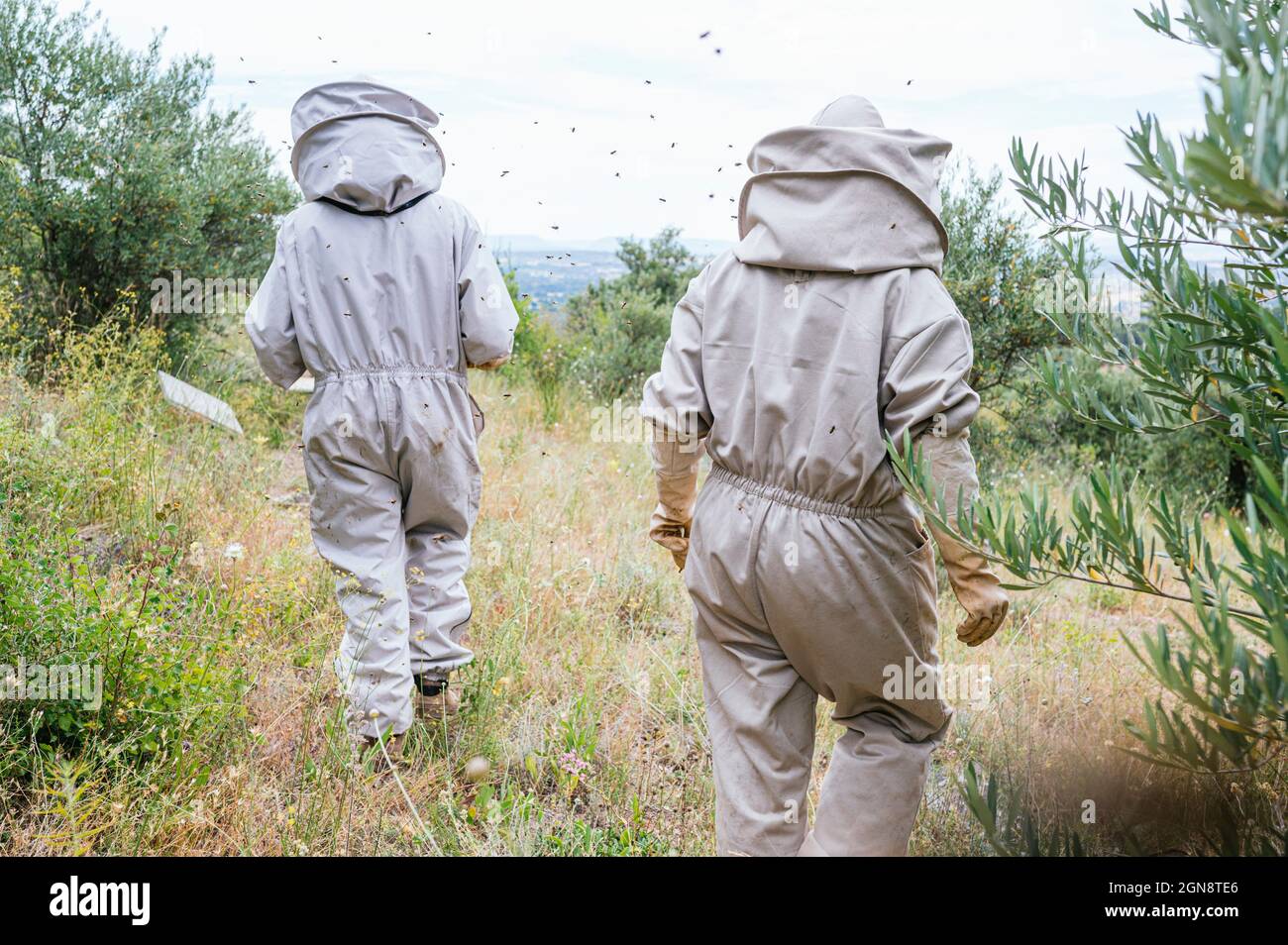Beekeepers suit hi-res stock photography and images - Alamy