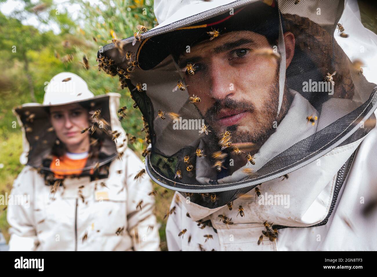 Male and female beekeeper with honey bees on protective suit at farm ...
