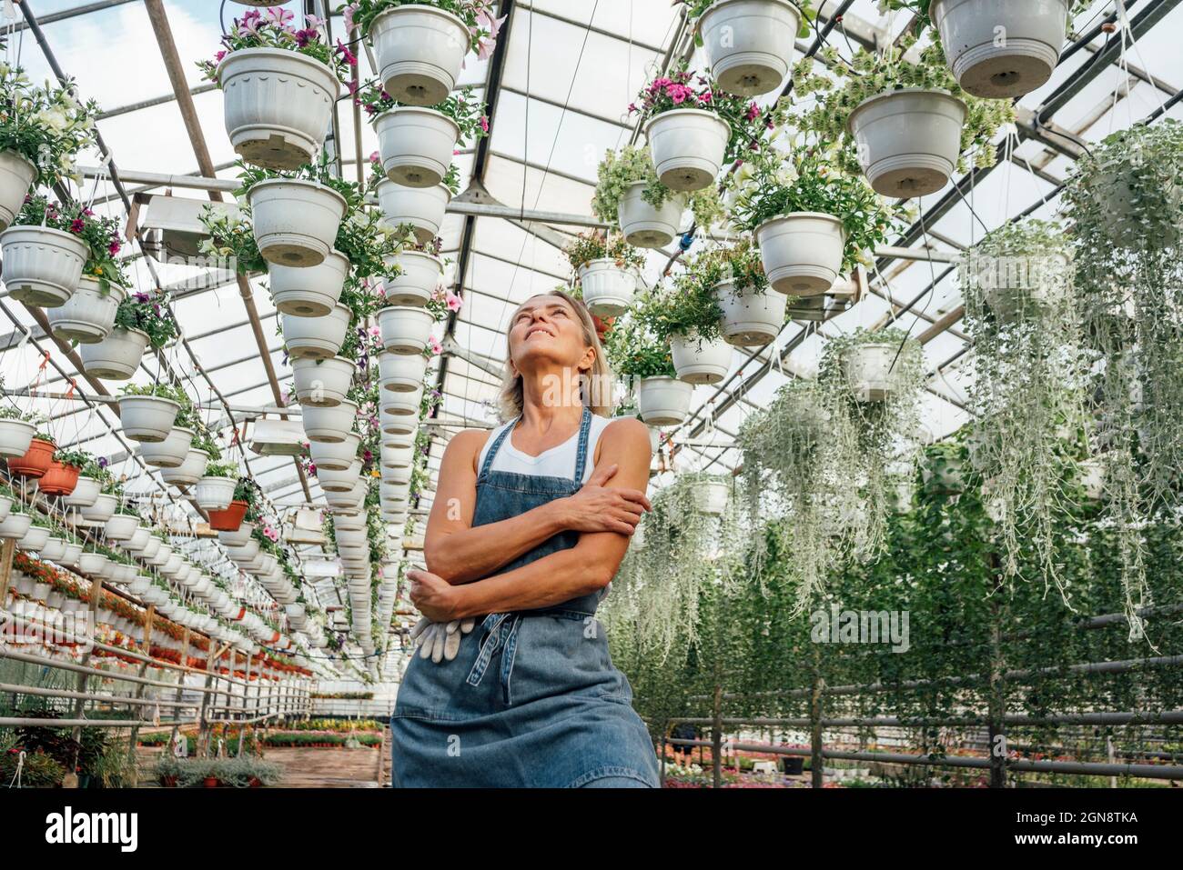 Female greenhouse worker with arms crossed looking at hanging basket in plant nursery Stock ...