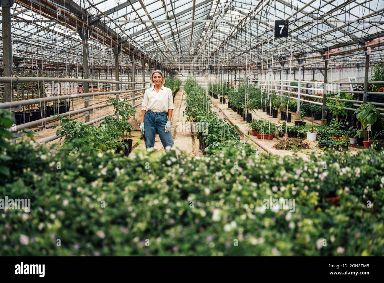 Female agriculture expert standing at plant nursery Stock Photo - Alamy