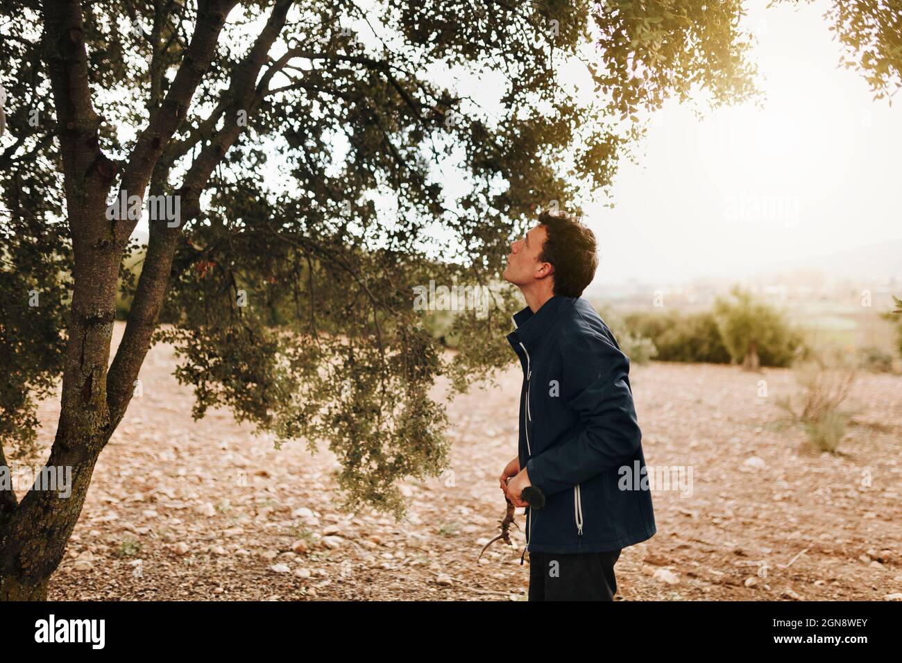 Young tree forest hi-res stock photography and images - Alamy