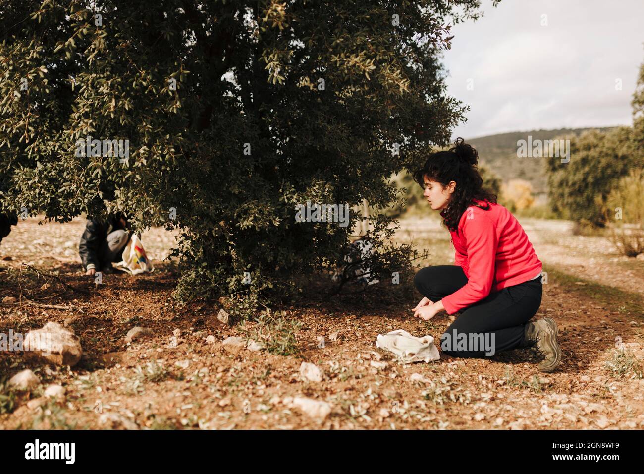Young women collecting acorns in forest Stock Photo - Alamy
