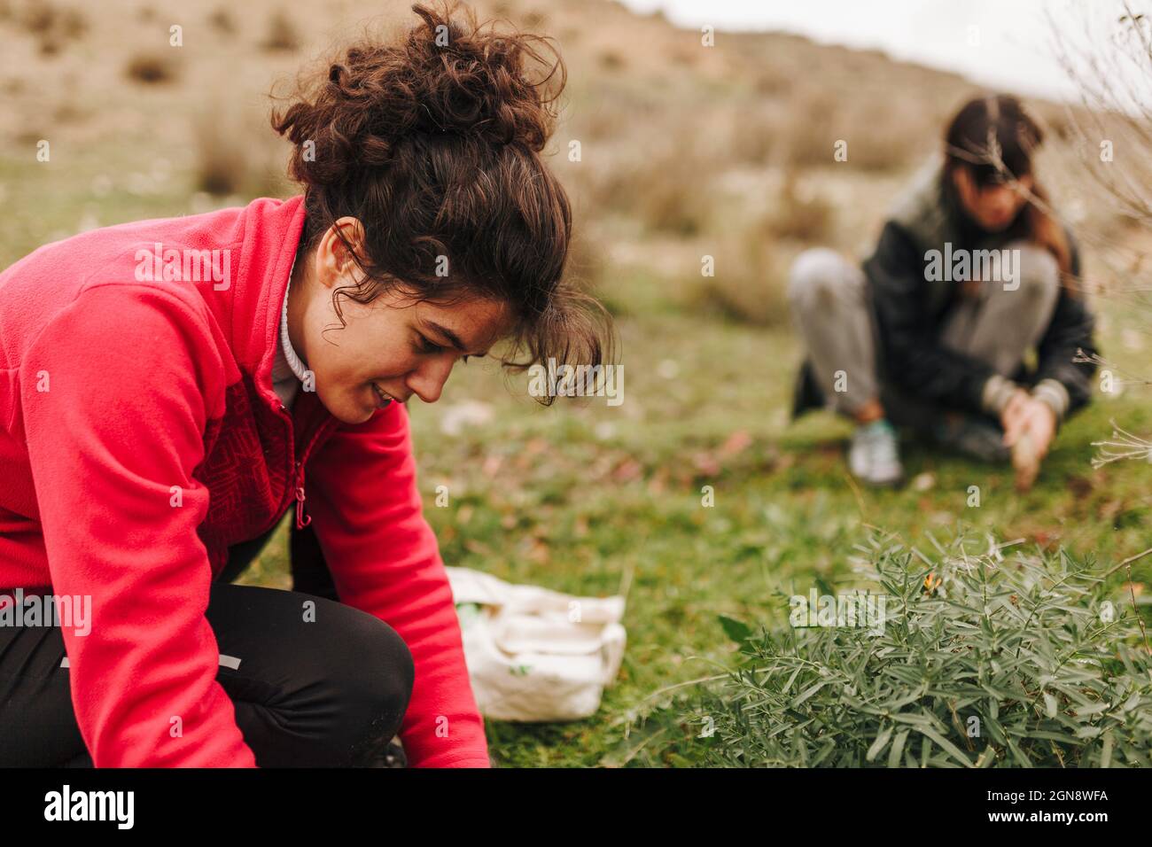 Female friends planting plant on land Stock Photo - Alamy