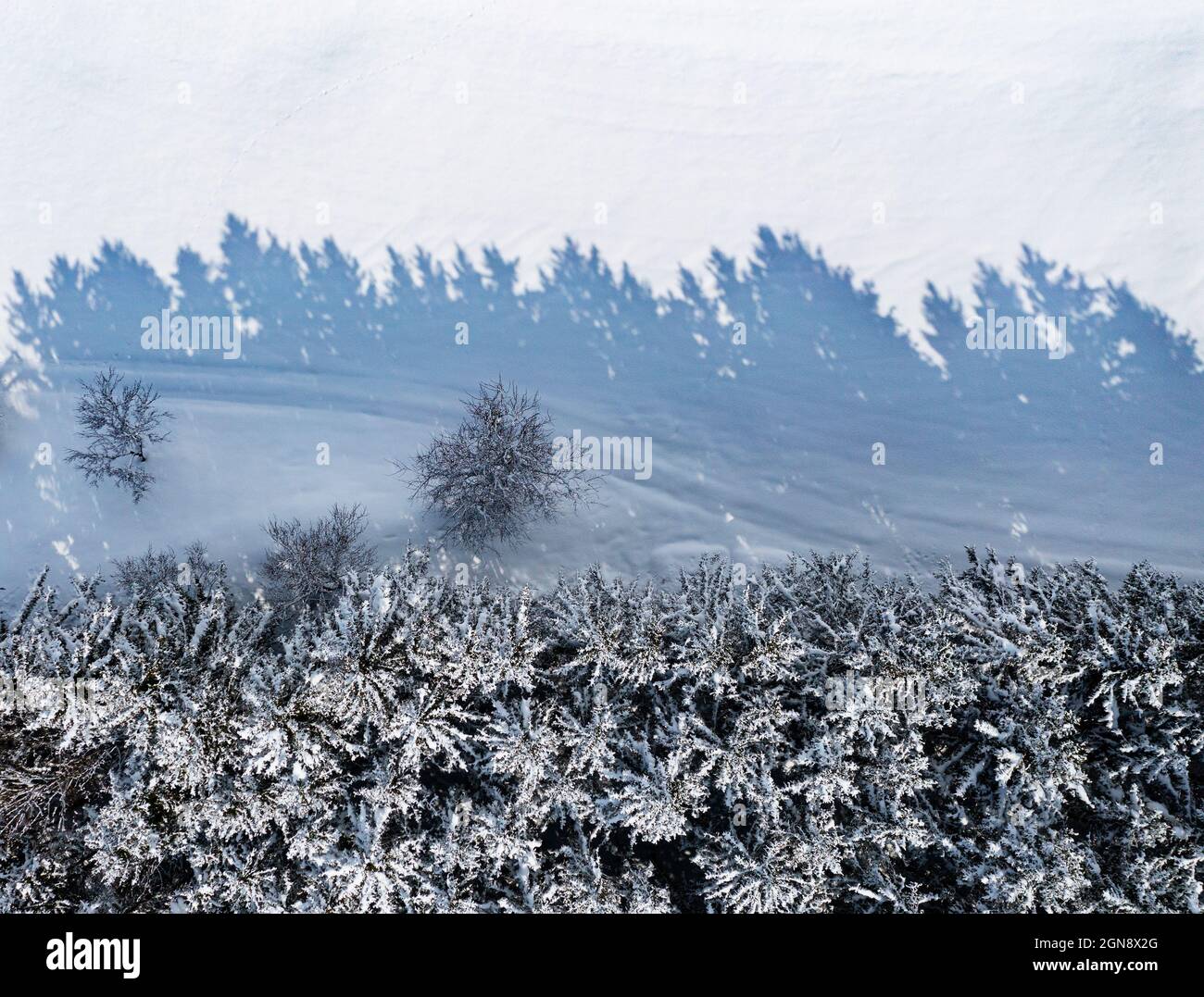 Covered with forest hi-res stock photography and images - Alamy