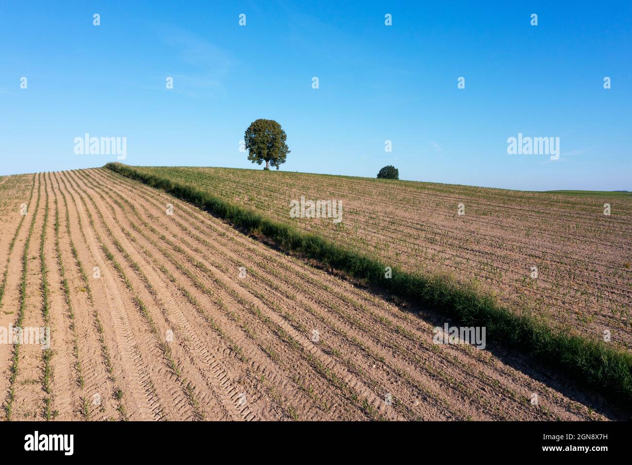 Summer field view hi-res stock photography and images - Alamy