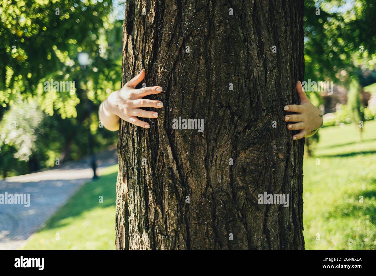Woman hugging tree hi-res stock photography and images - Alamy