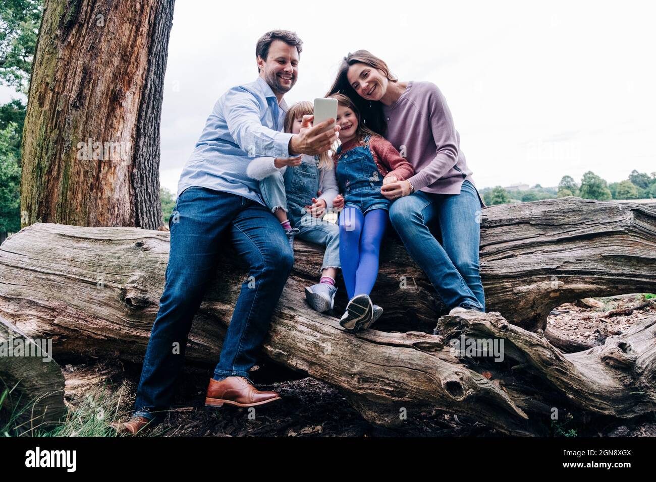 Father taking selfie through smart phone while sitting on fallen tree ...