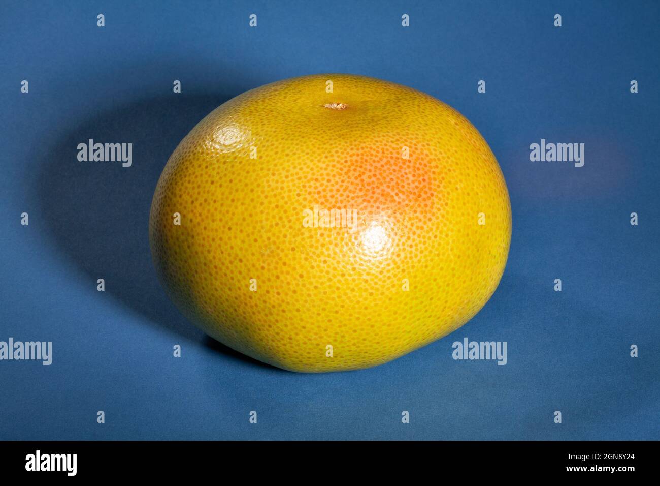 yellow grapefruit on blue background Stock Photo - Alamy