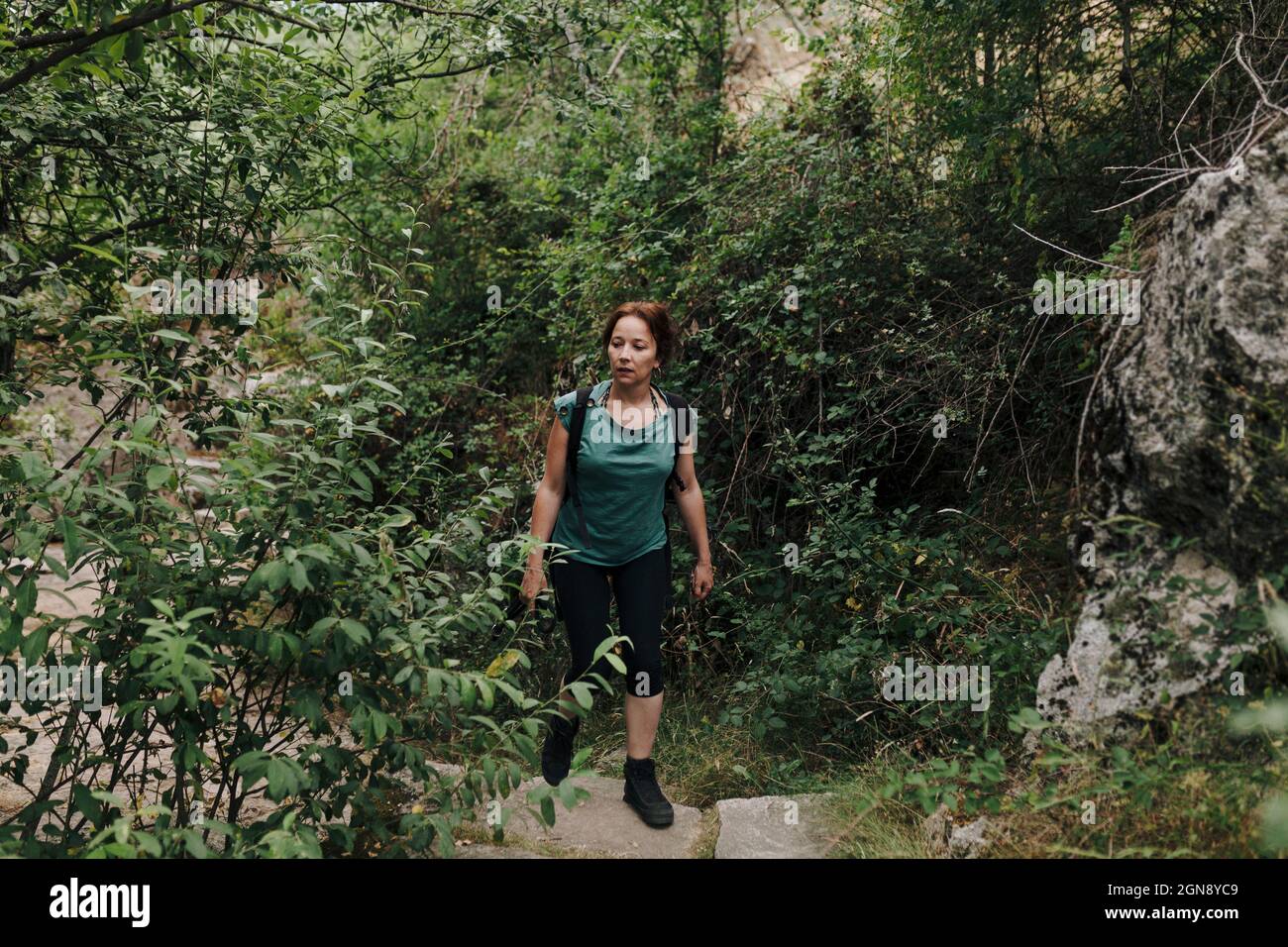 Weekend forest hi-res stock photography and images - Alamy