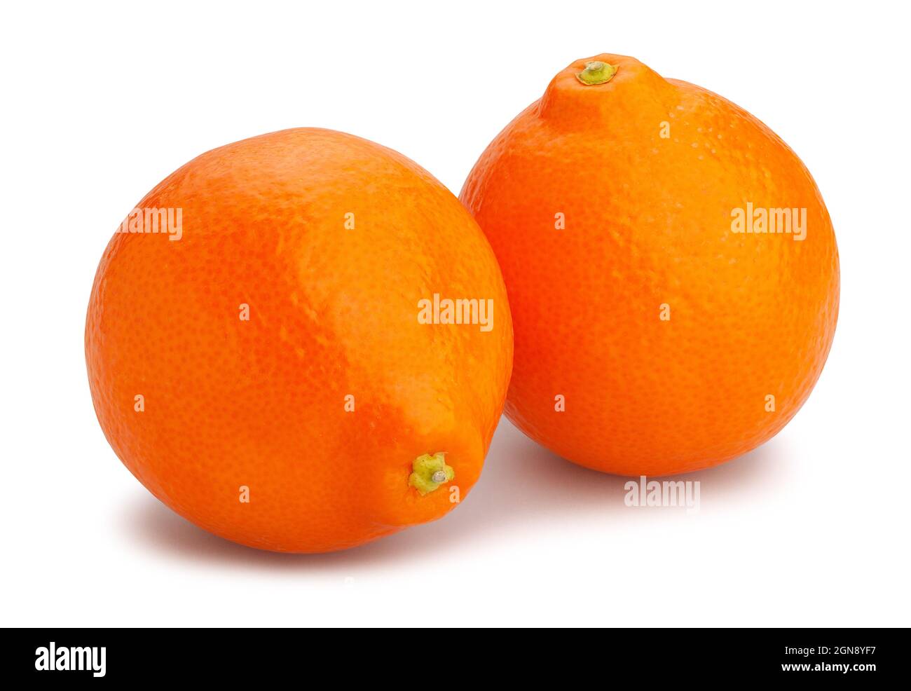 minneola tangelo tangerine path isolated on white Stock Photo - Alamy