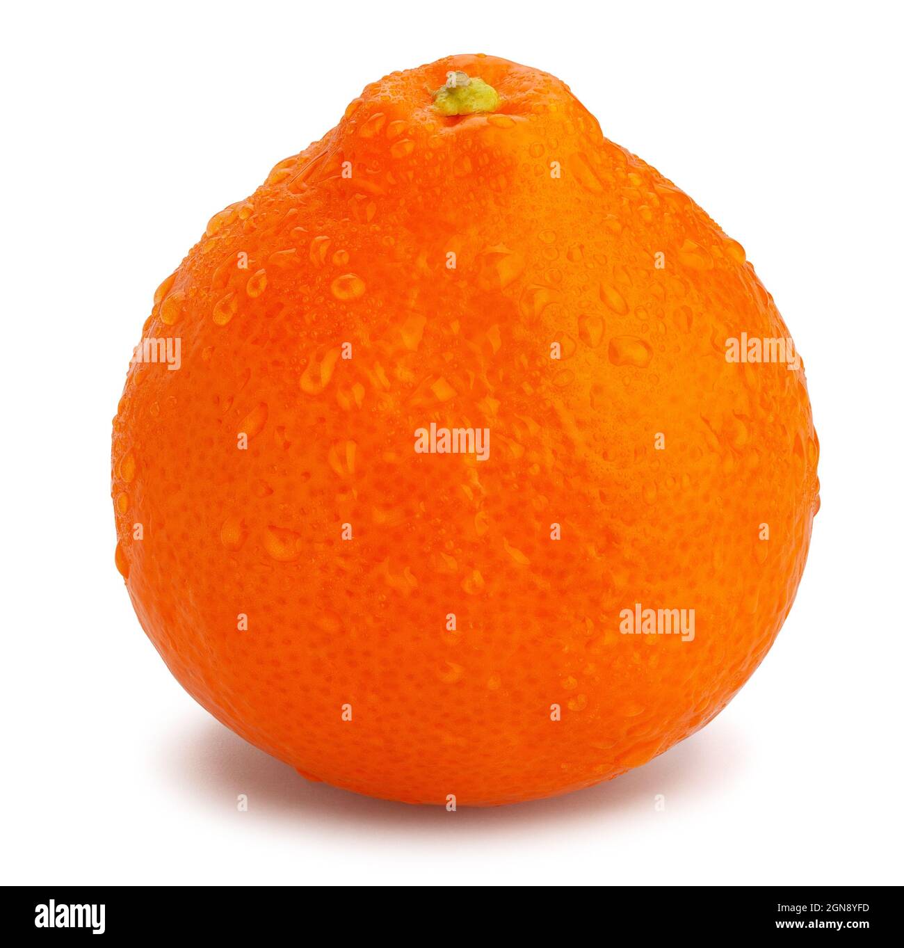 minneola tangelo tangerine path isolated on white Stock Photo - Alamy