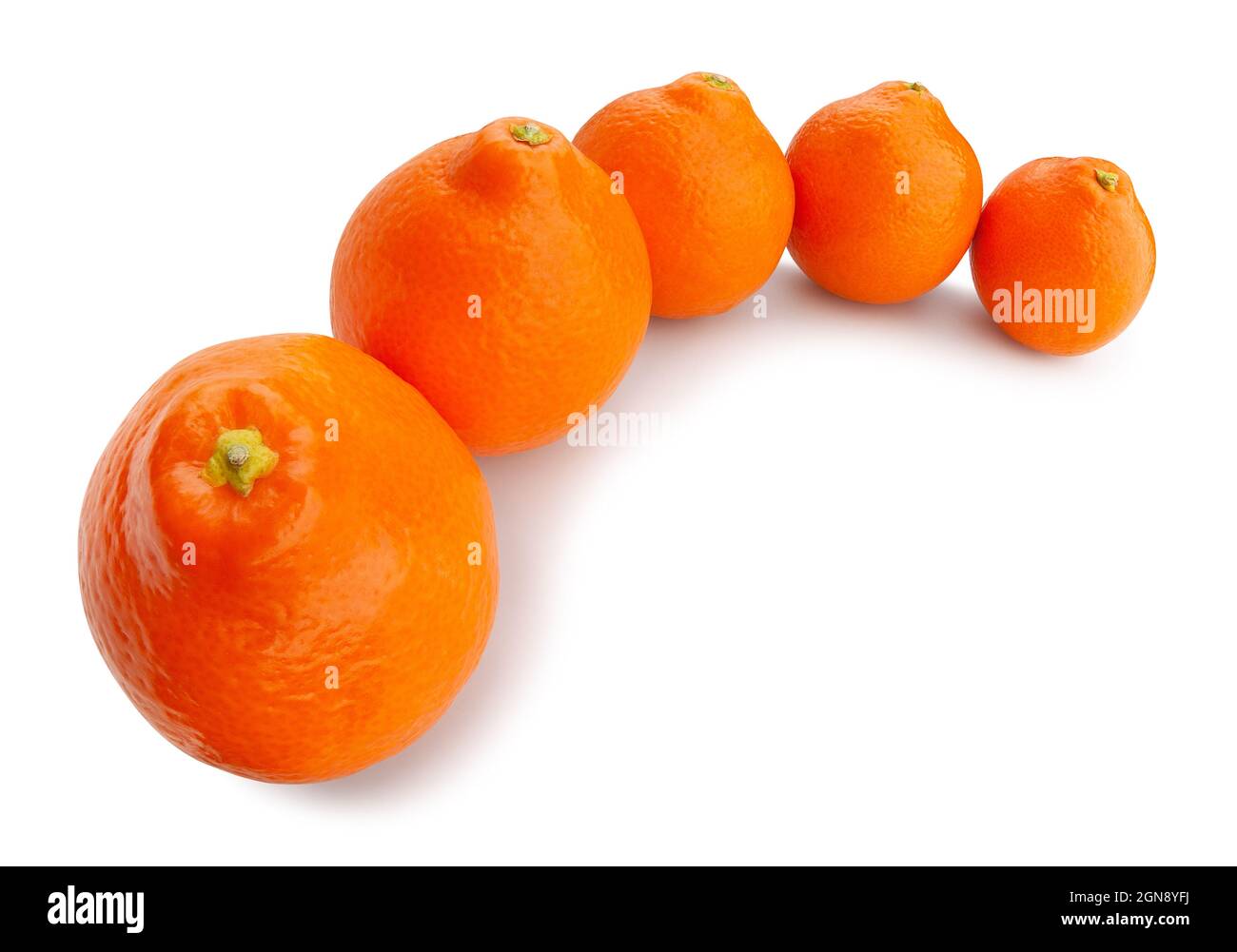 minneola tangelo tangerine path isolated on white Stock Photo - Alamy