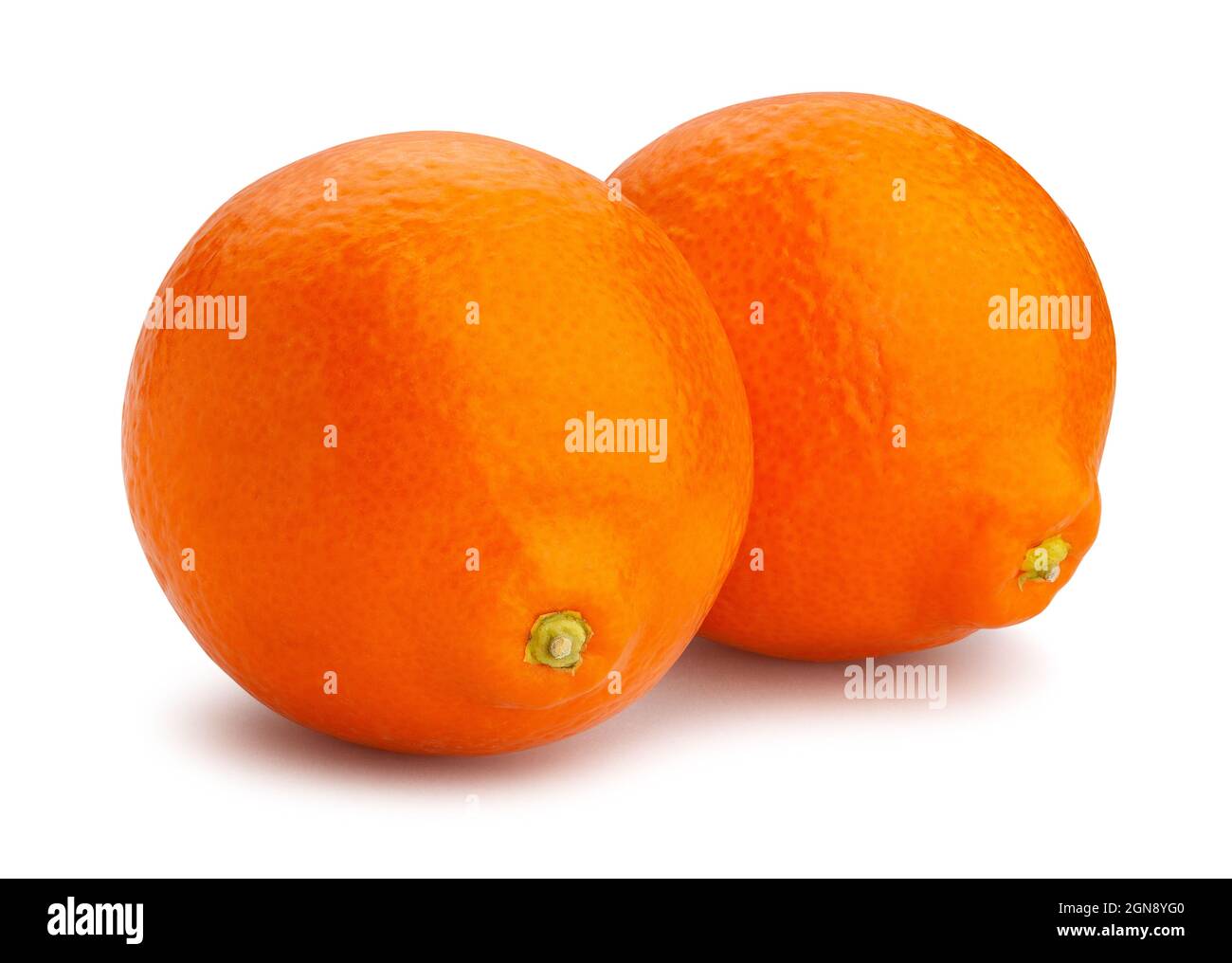 minneola tangelo tangerine path isolated on white Stock Photo - Alamy