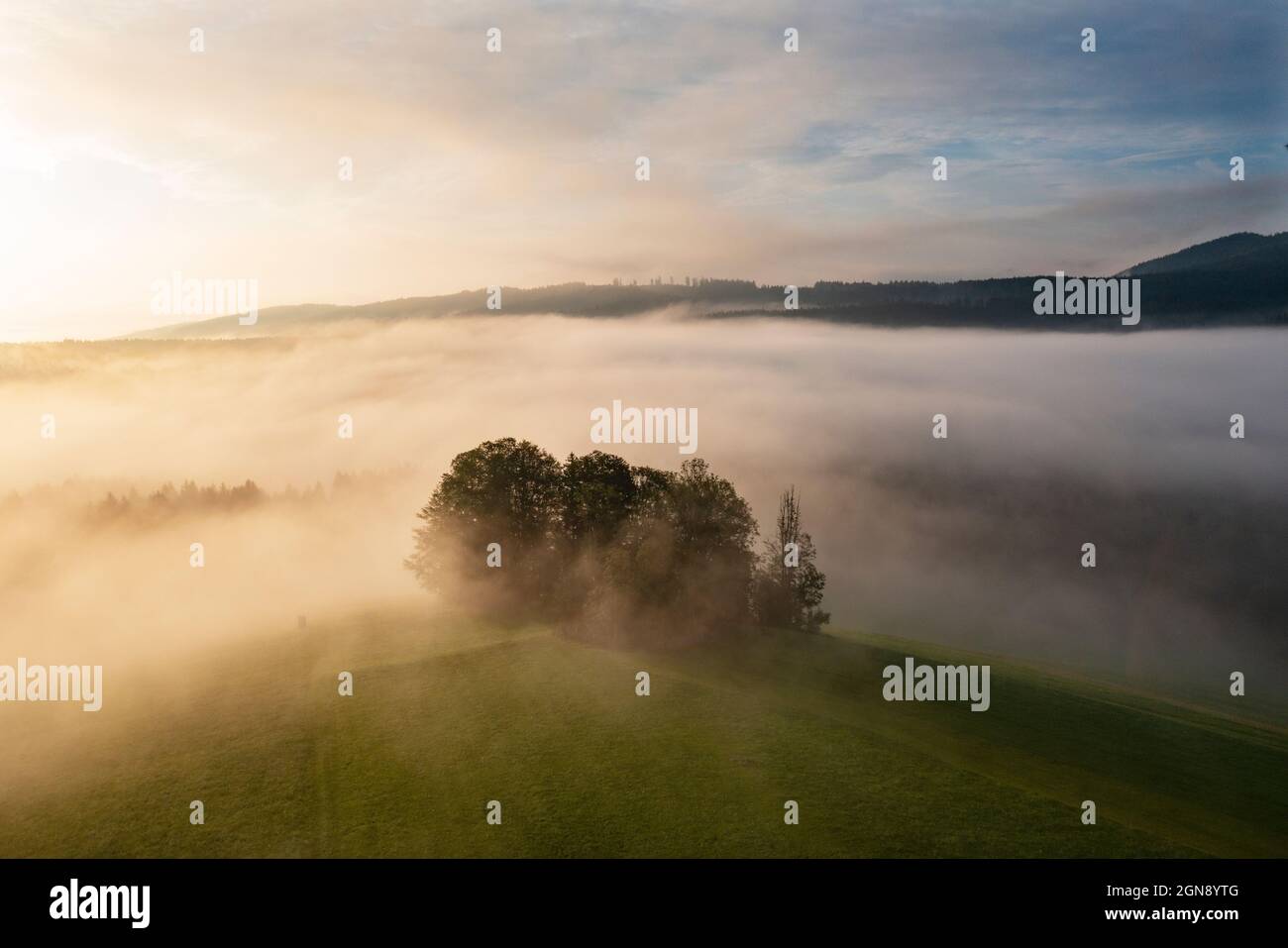 Drone view of landscape shrouded in thick fog at sunrise Stock Photo ...
