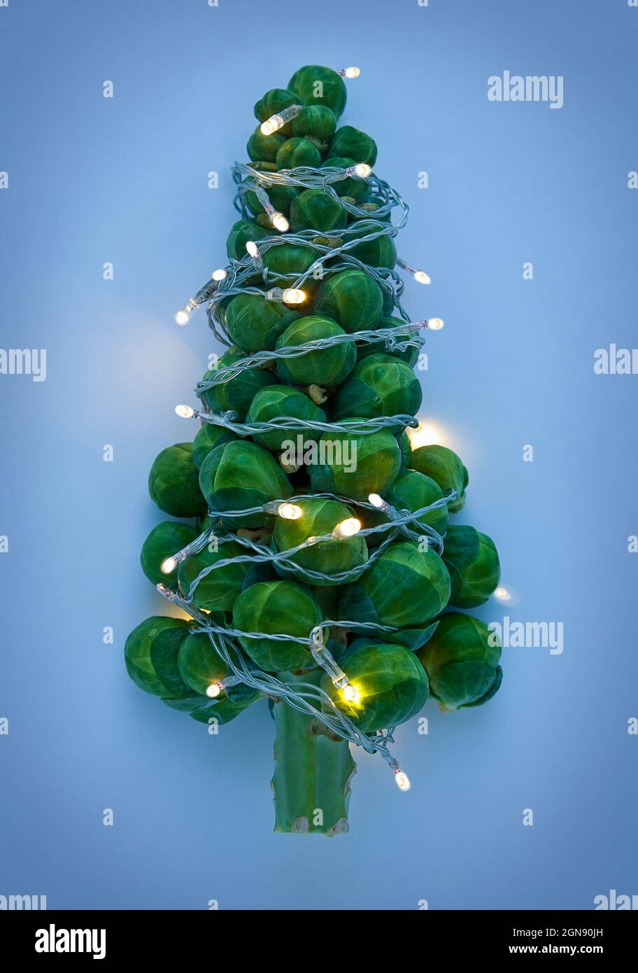 Christmas tree shaped Brussels sprouts wrapped in glowing Christmas ...