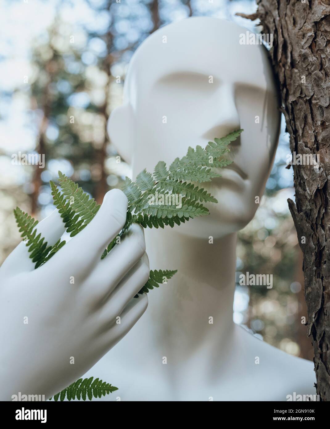 Robot smelling leaves while leaning on tree trunk in forest Stock Photo ...