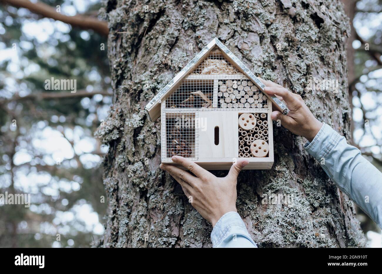 Person holding insect hi-res stock photography and images - Alamy