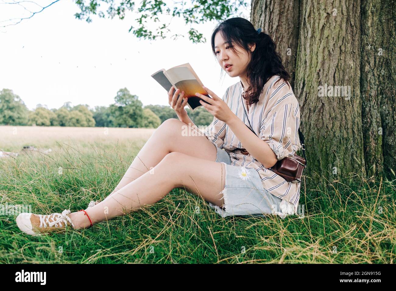 Reading grass hi-res stock photography and images - Alamy