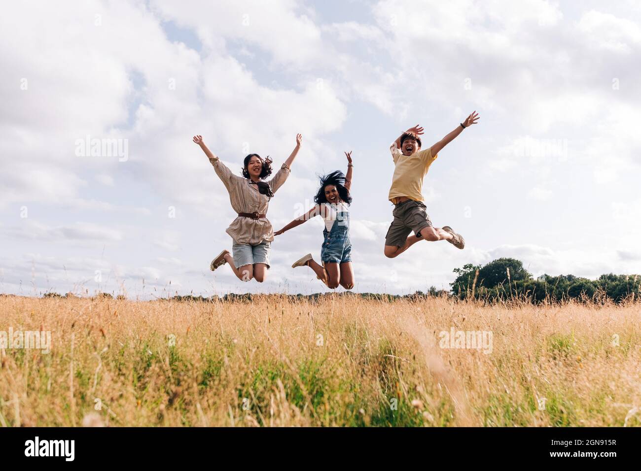 Happy friends enjoying while jumping on meadow Stock Photo - Alamy