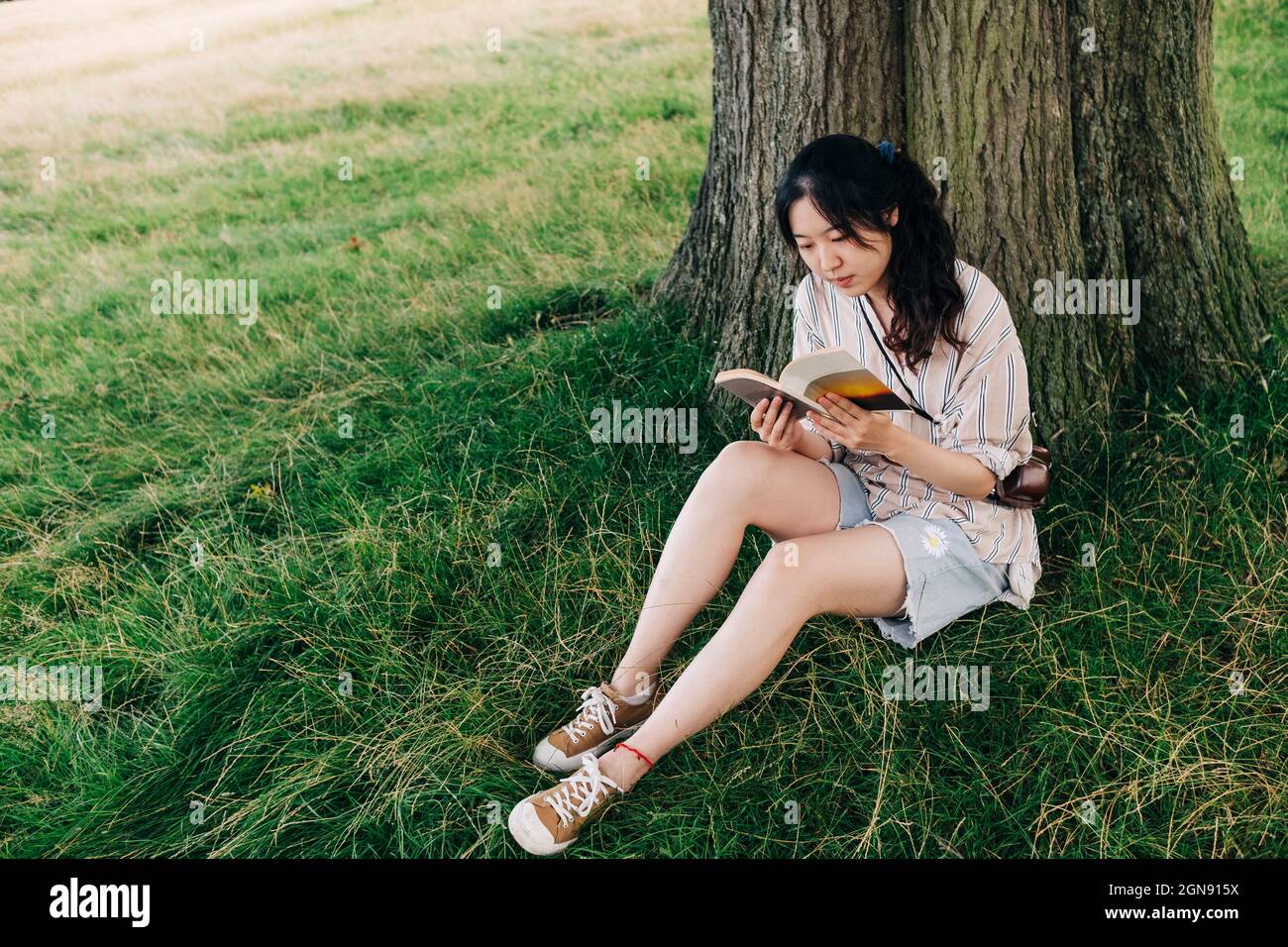 Woman reading under tree hi-res stock photography and images - Alamy