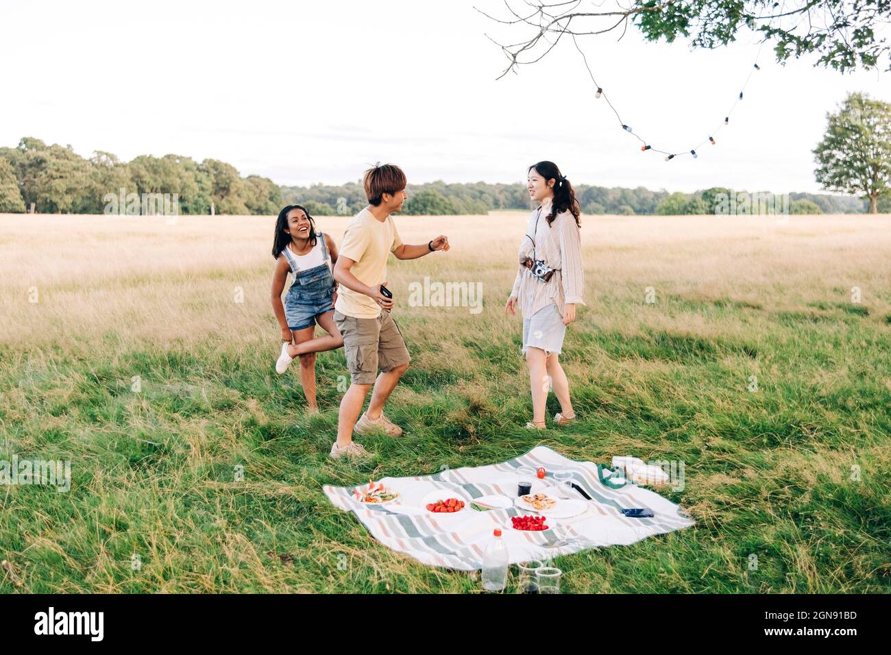 Happy friends dancing on meadow during picnic Stock Photo - Alamy