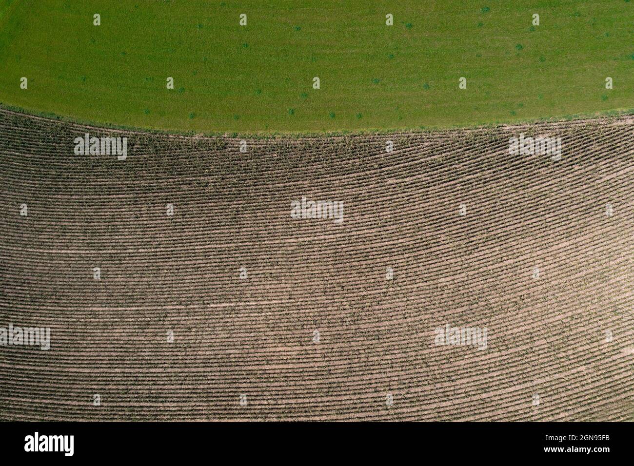 Brown countryside hi-res stock photography and images - Alamy