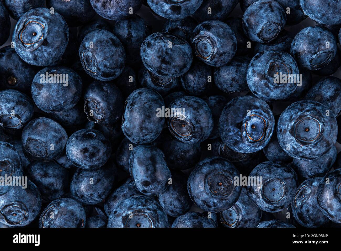 fresh ripe bilberry, heathberry or blueberry close-up top view Stock ...