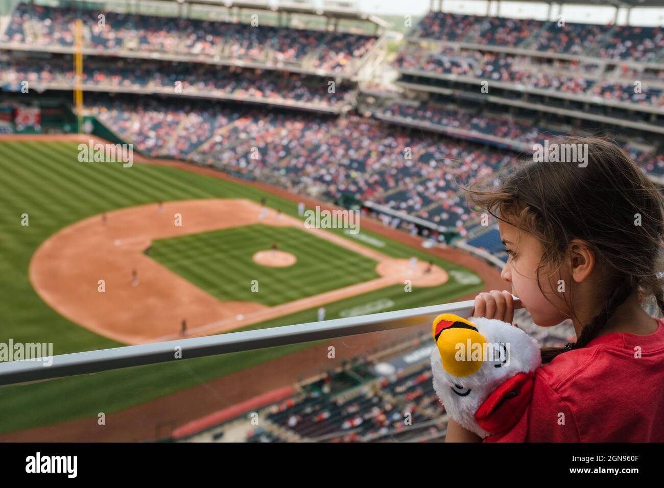 little girl watching baseball game from the stands Stock Photo - Alamy