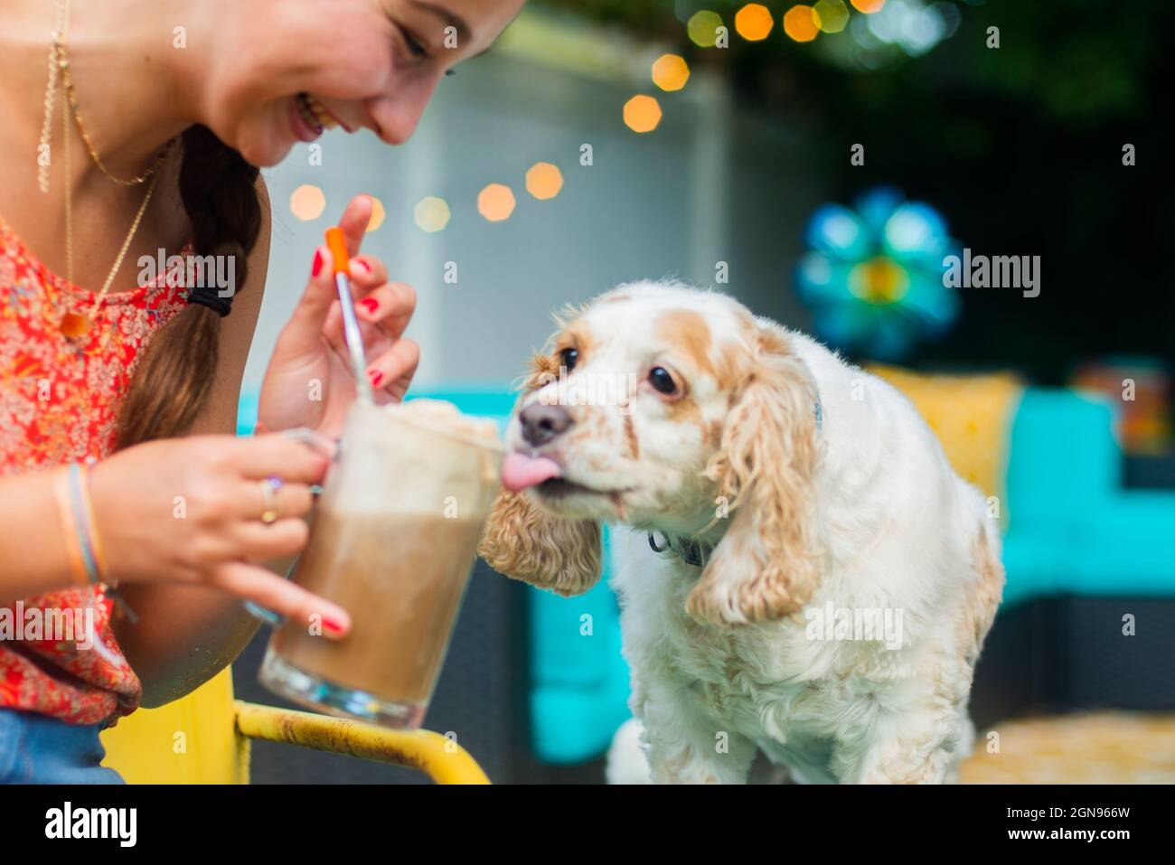 Backyard portrait of furry friend Stock Photo - Alamy