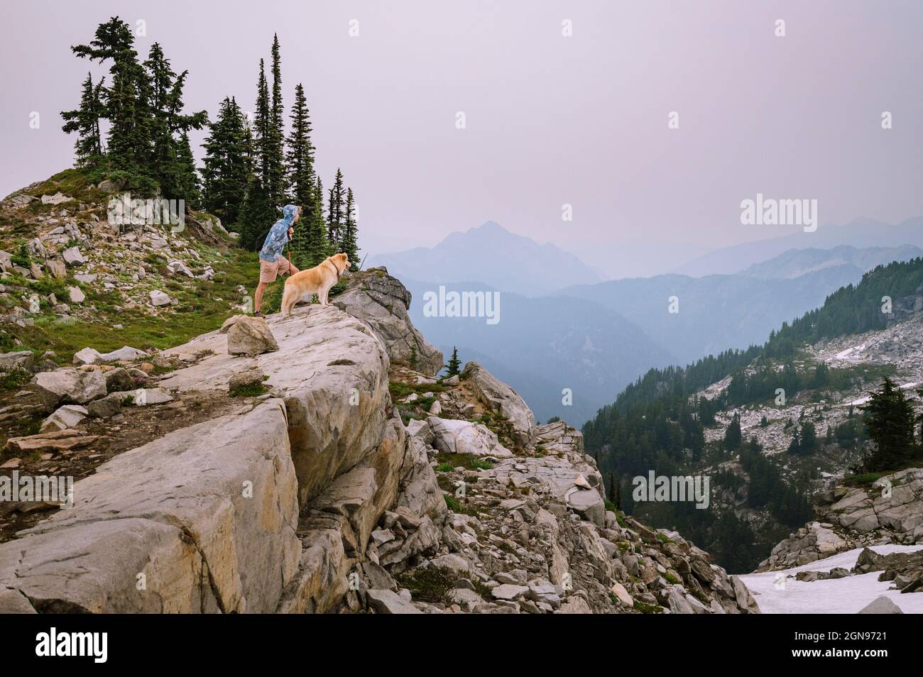 Male hiker and fluffy dog standing on cliff in the alpine Stock Photo ...