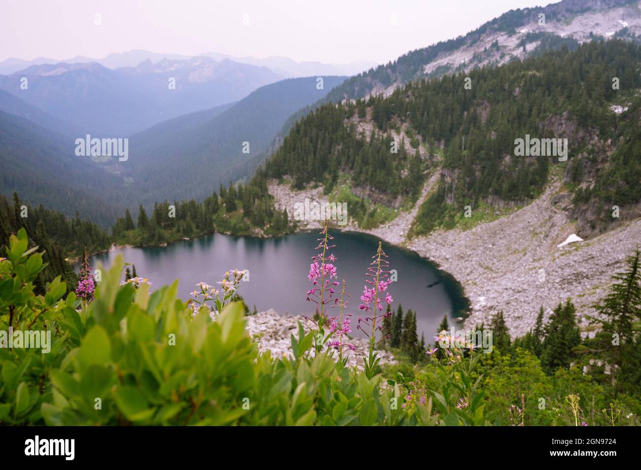 Granite rock alpine trees hi-res stock photography and images - Alamy