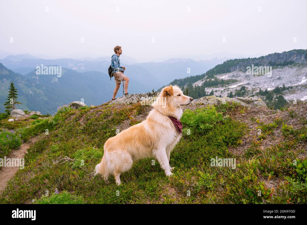 Fluffy dog and male hiker standing proud in the north cascades alpine ...