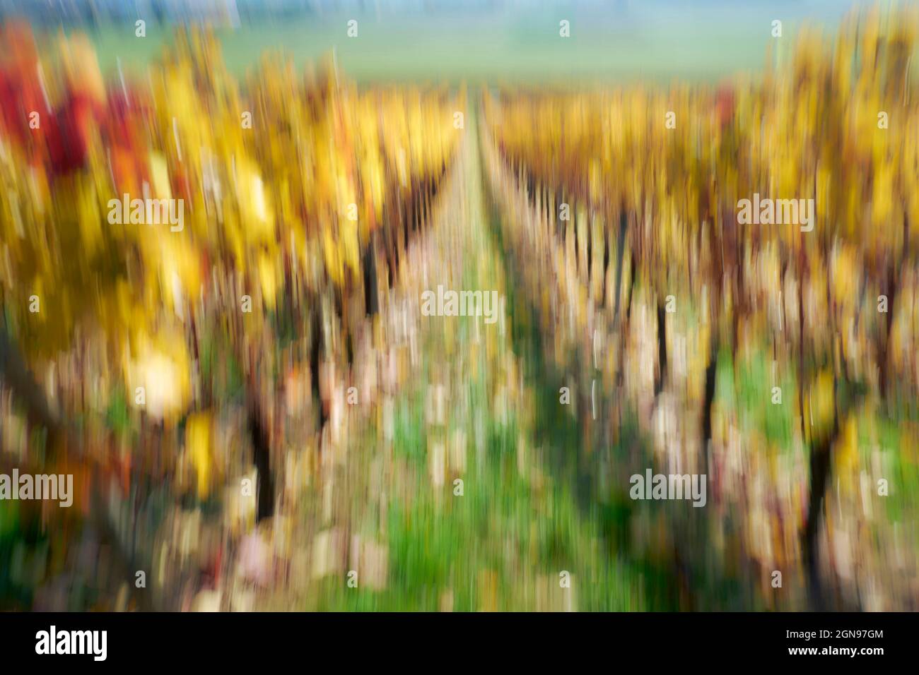 Blurry path hi-res stock photography and images - Alamy
