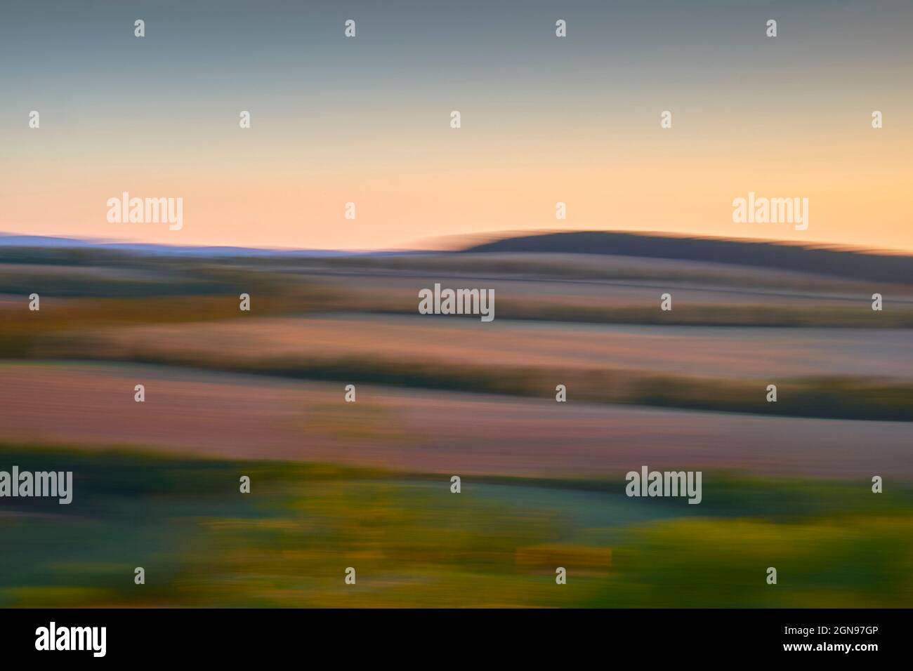 Blurry vineyard landscape Stock Photo - Alamy