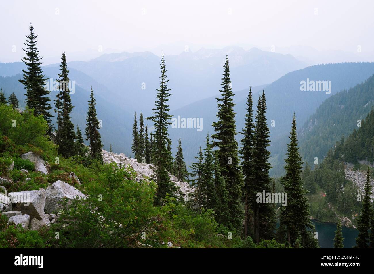 Beautiful trees in the north cascade mountains with wildfire smoke ...