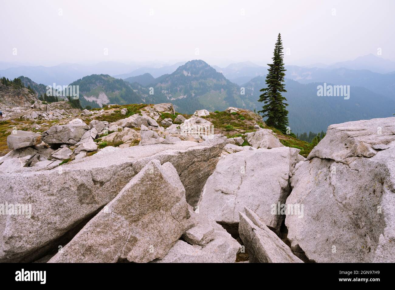 Granite rock and alpine trees in the north cascade mountains Stock ...