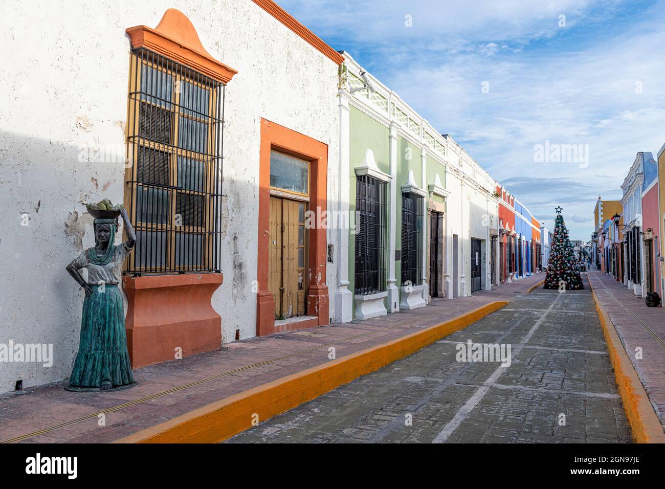Campeche tree hi-res stock photography and images - Alamy