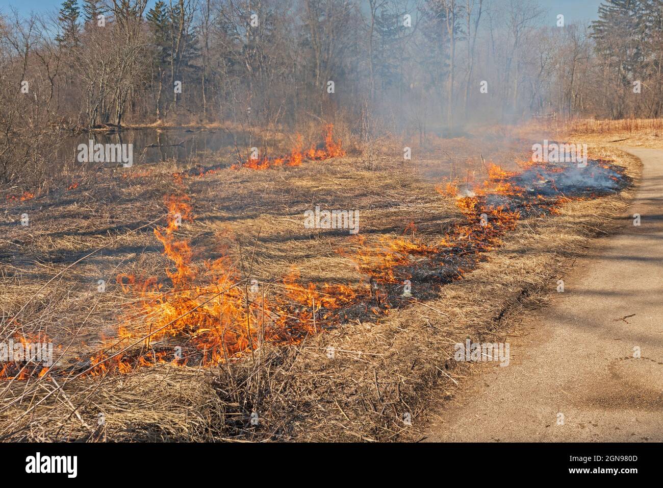 Start of a Controlled Prairie Burn in Spring Valley Nature Center in ...