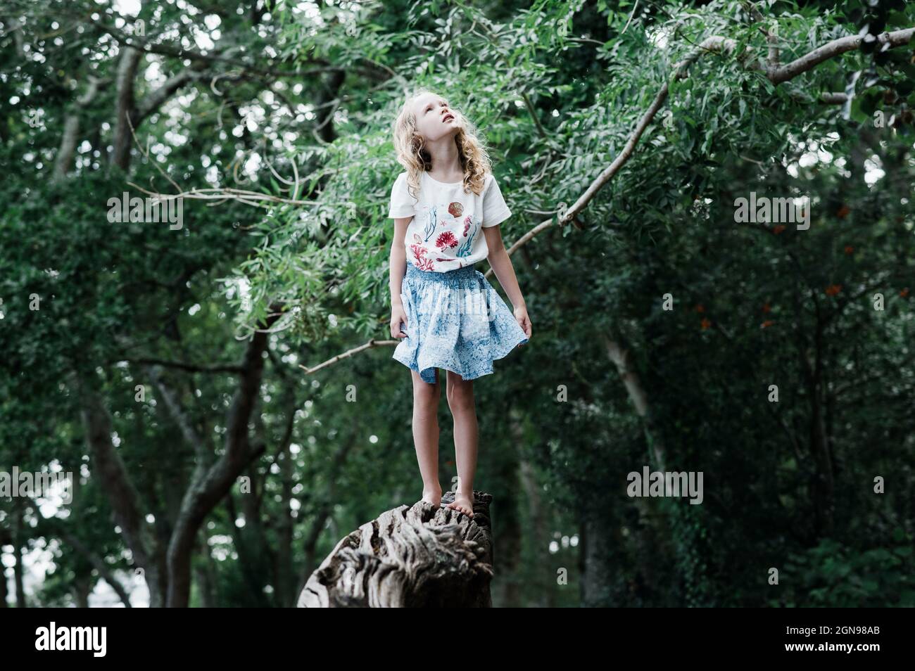 girl thoughtfully looking up at trees whilst climbing in the forest ...