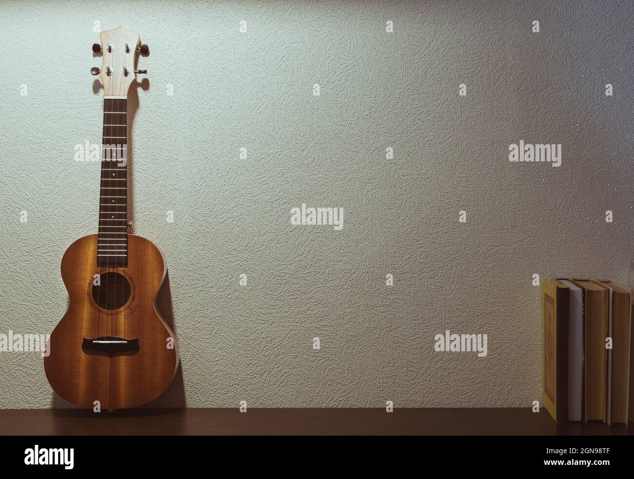 A wooden ukulele stands upright against the wall and old books, copy ...