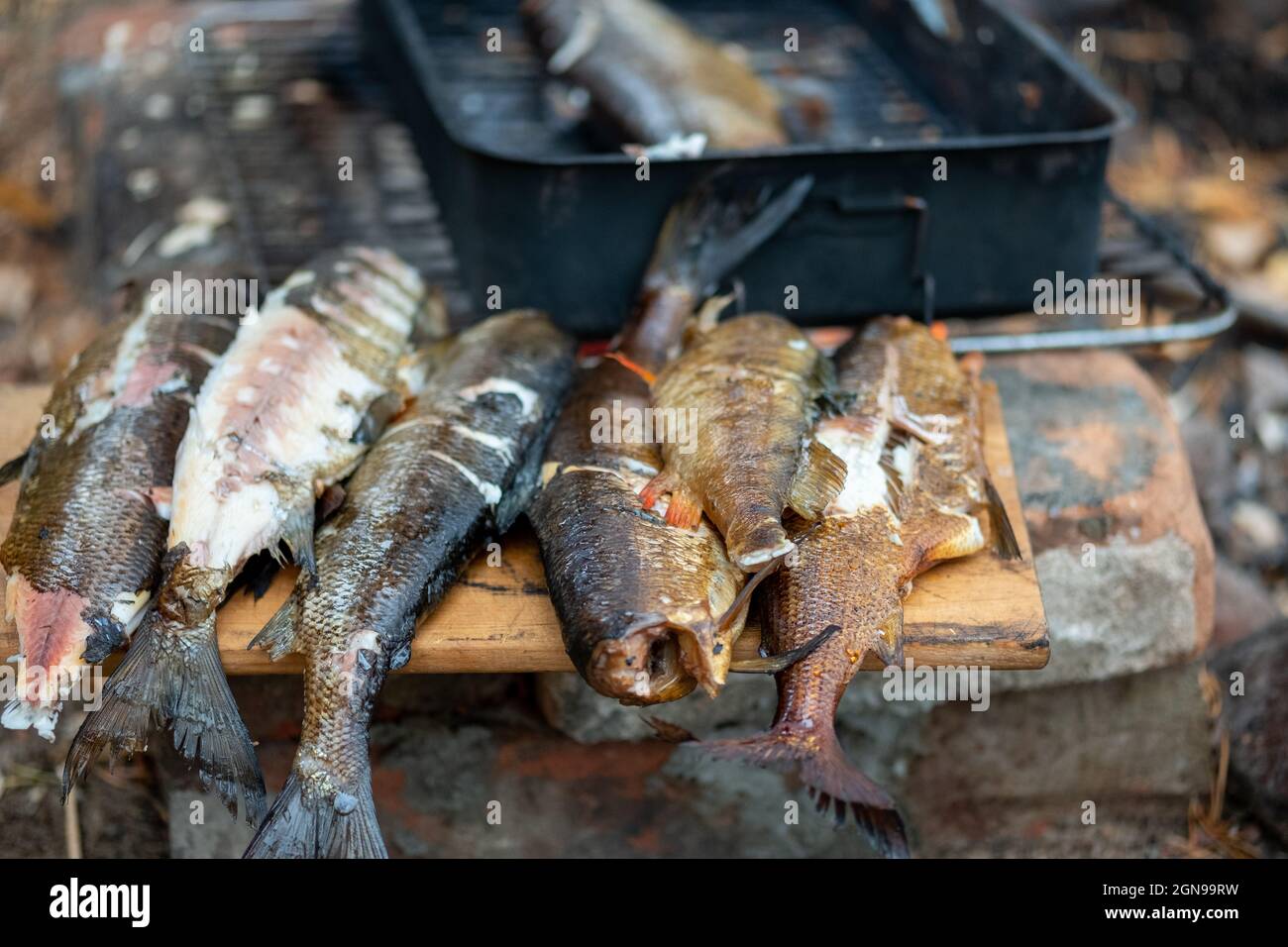 Wildlife raw fish hi-res stock photography and images - Alamy