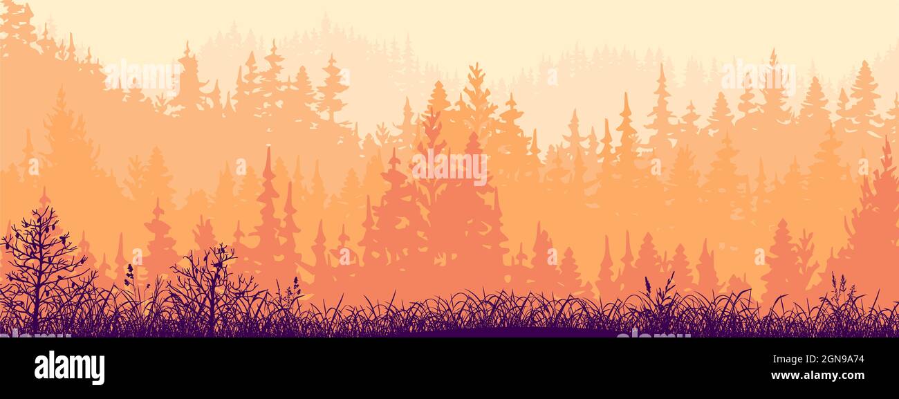 Horizontal banner of forest and meadow, silhouettes of trees and grass ...