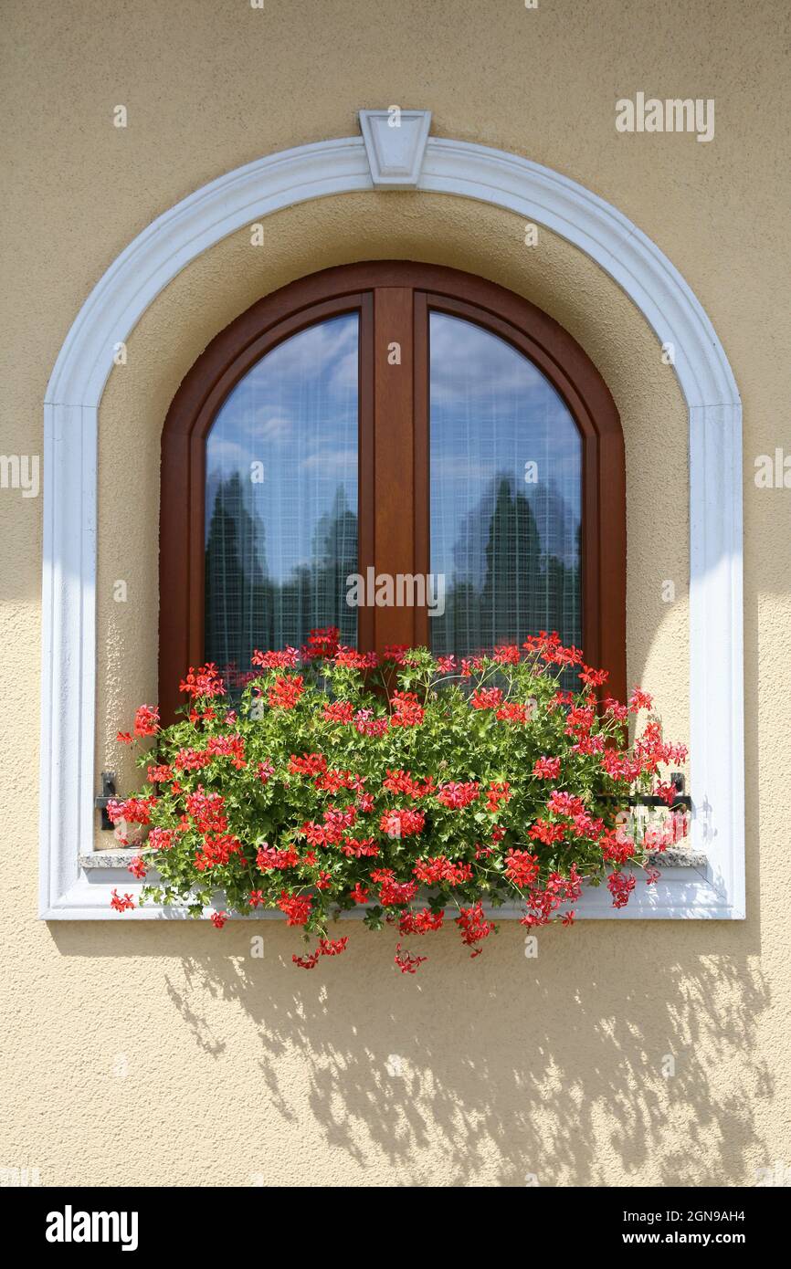 Window at home with beautiful flowers Stock Photo - Alamy
