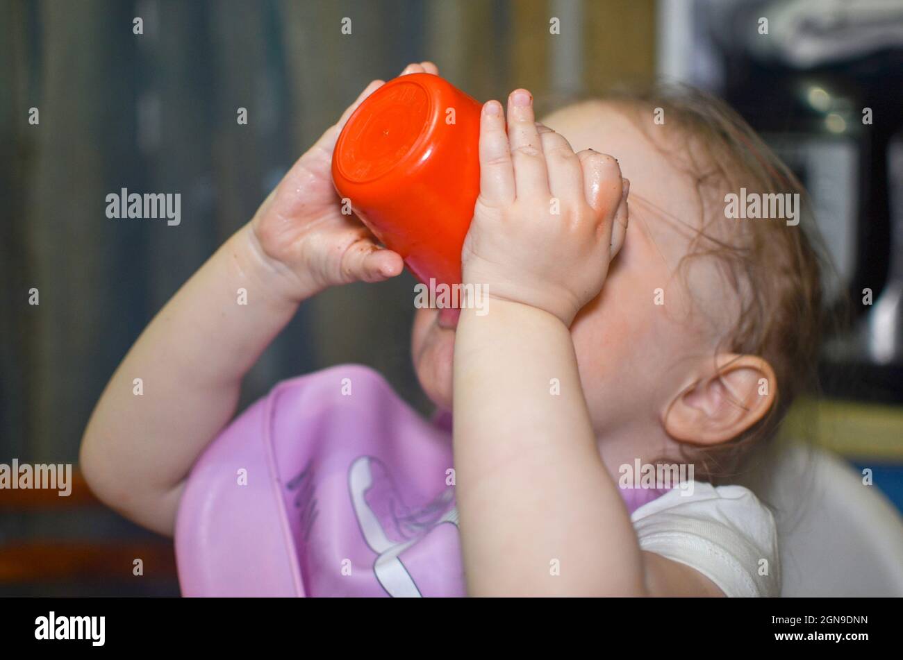little blonde girl in a purple apron and a bib drinks to the bottom of ...