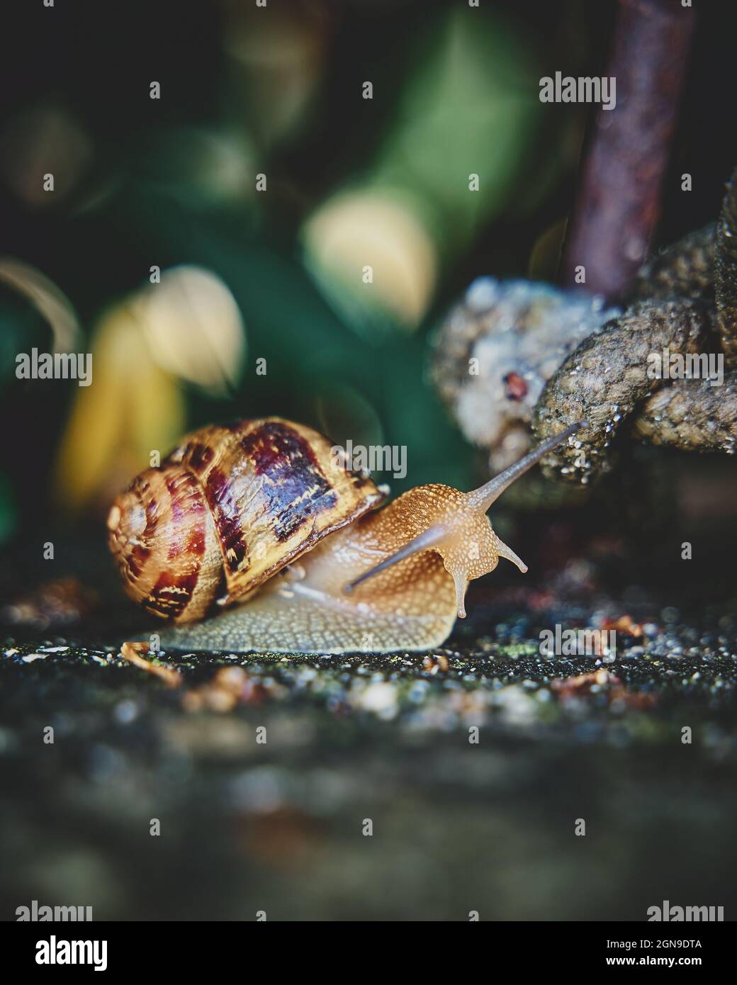 Habitat planning hi-res stock photography and images - Alamy