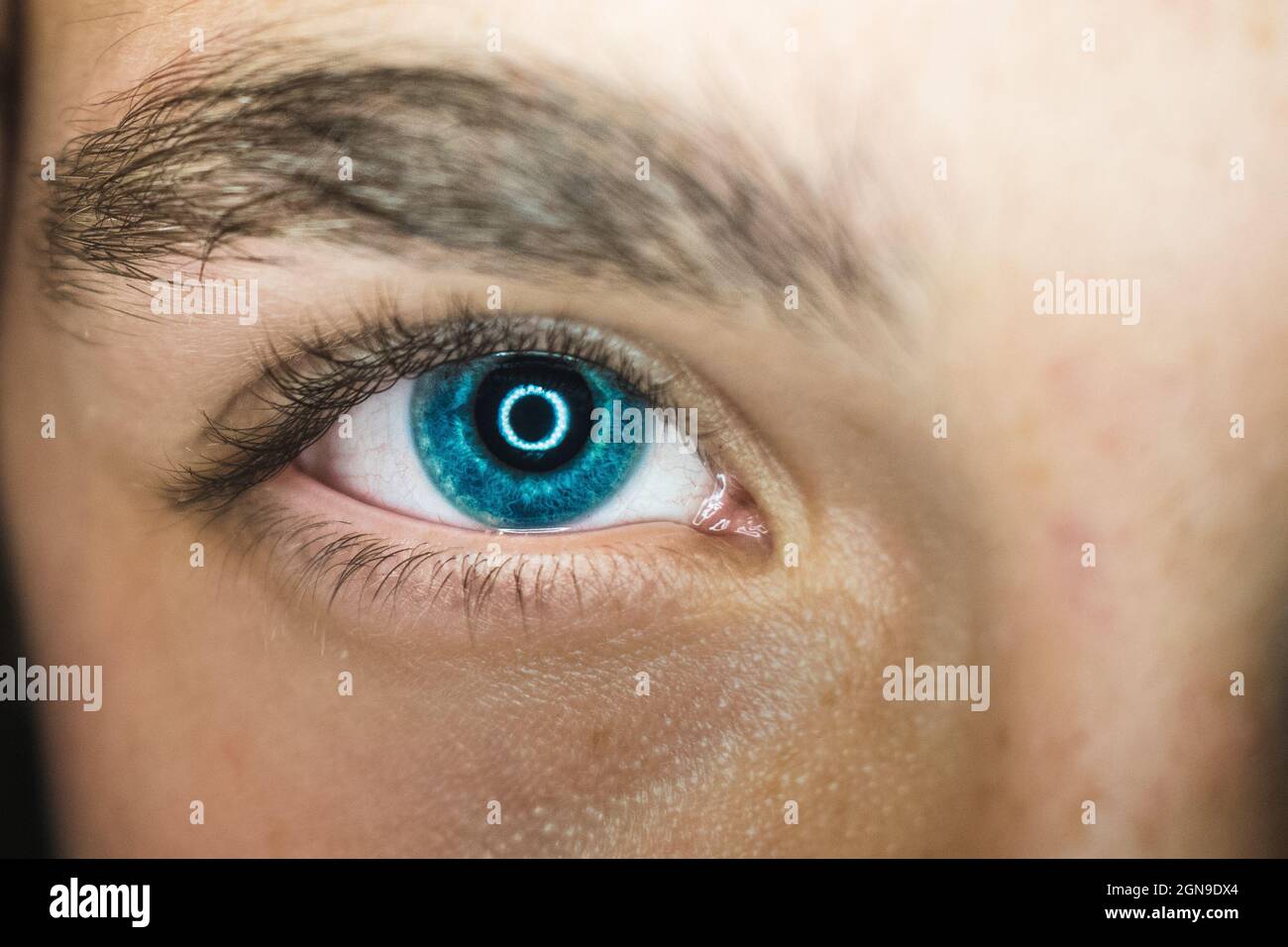 Closeup of a person's aqua blue colored eye staring at the camera Stock ...