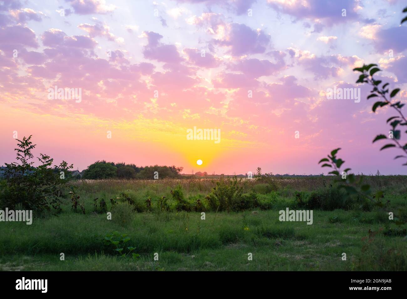 Lilac clouds hi-res stock photography and images - Alamy