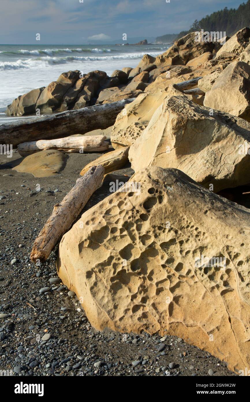 Rock outcrop at Beach 3, Olympic National Park, Washington Stock Photo ...