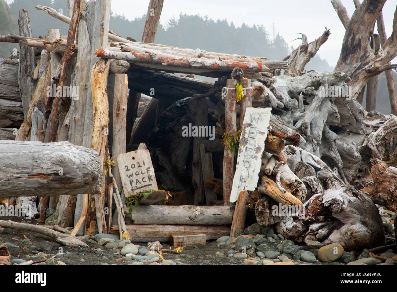 Drift log shelter on Ruby Beach, Olympic National Park, Washington ...