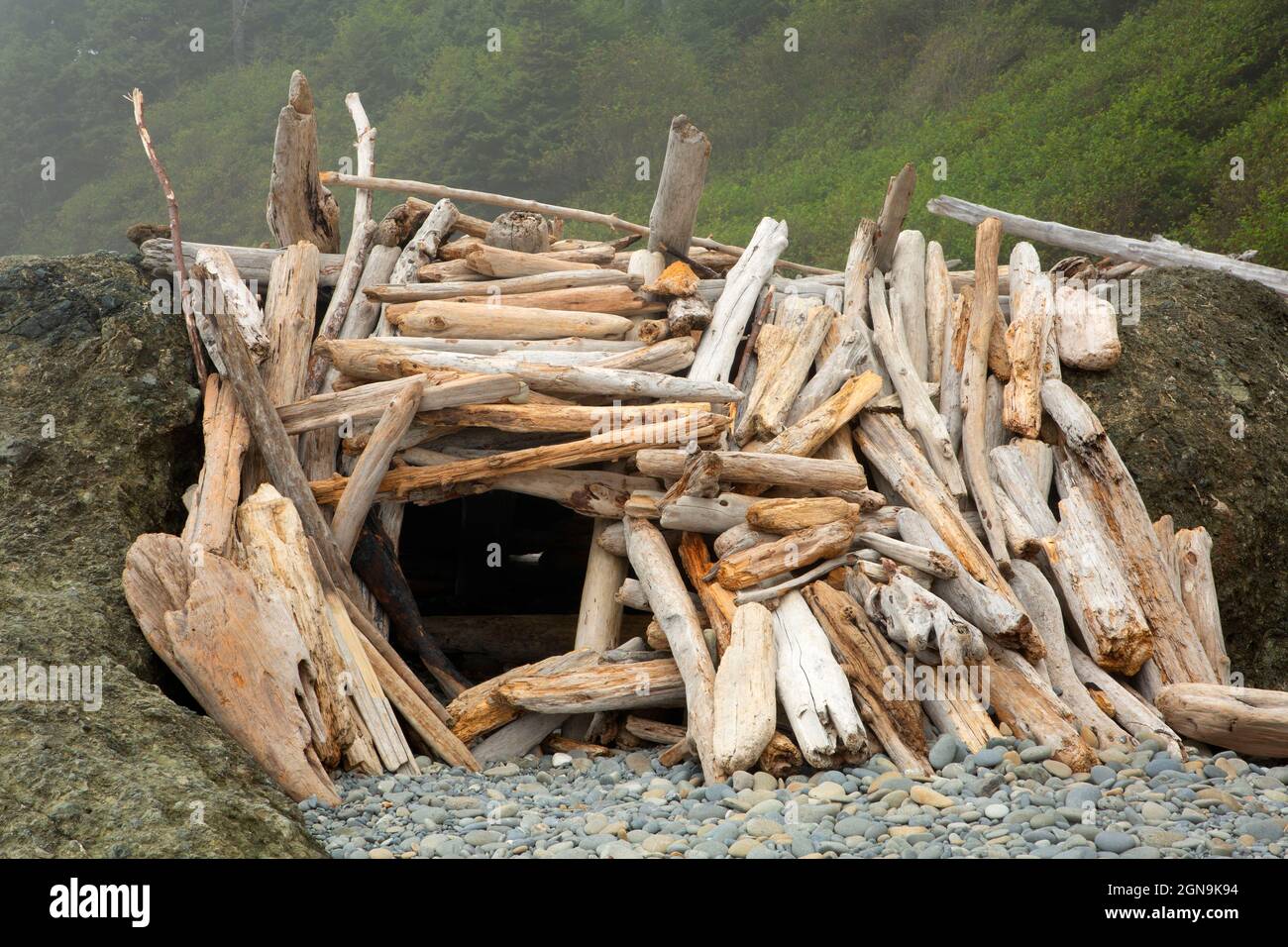 Drift log shelter on Ruby Beach, Olympic National Park, Washington ...
